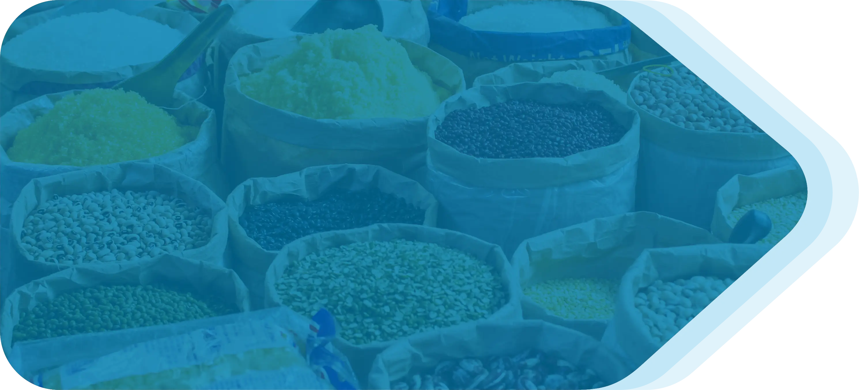 India’s #1 Cloud-Based Kirana Store Software – VasyERP